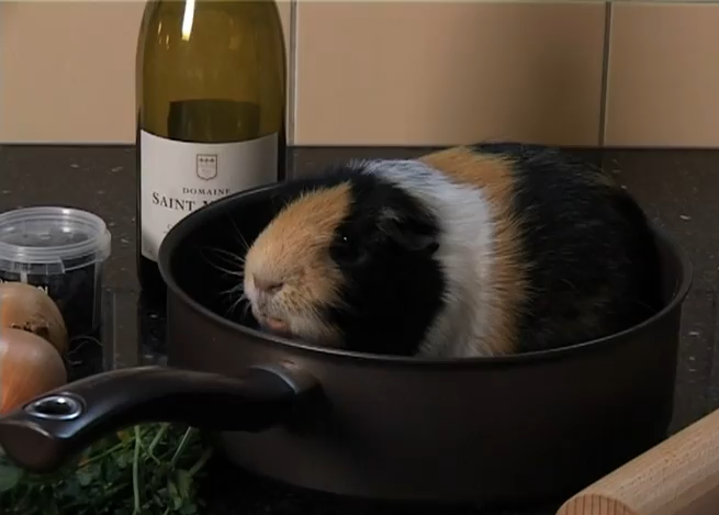 Koken met Karin: hoe stoof je een cavia? - Culy