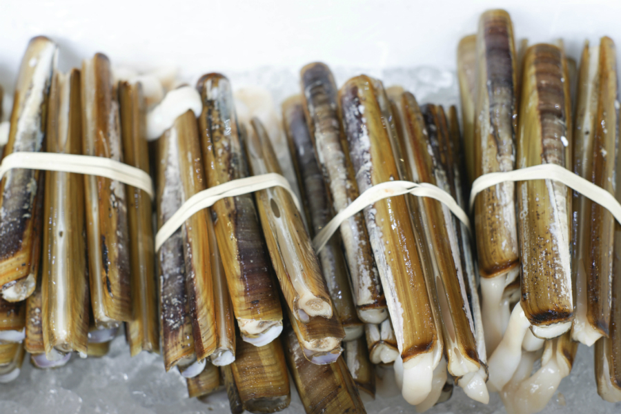 Van vongole tot scheermes: deze schelpdieren bereid je in een ...