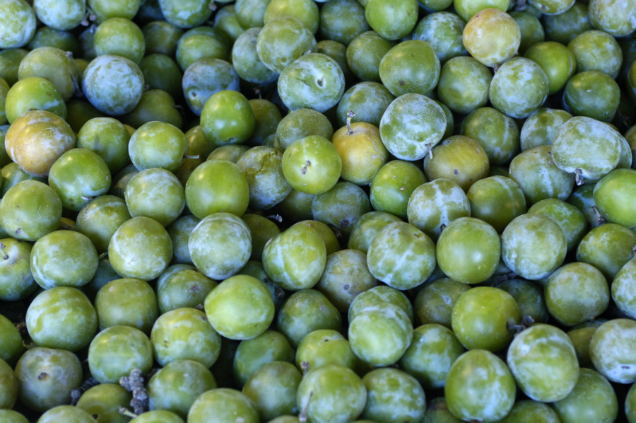 Ode aan de reine claude: dit is waarom je deze groene pruim niet mag ...
