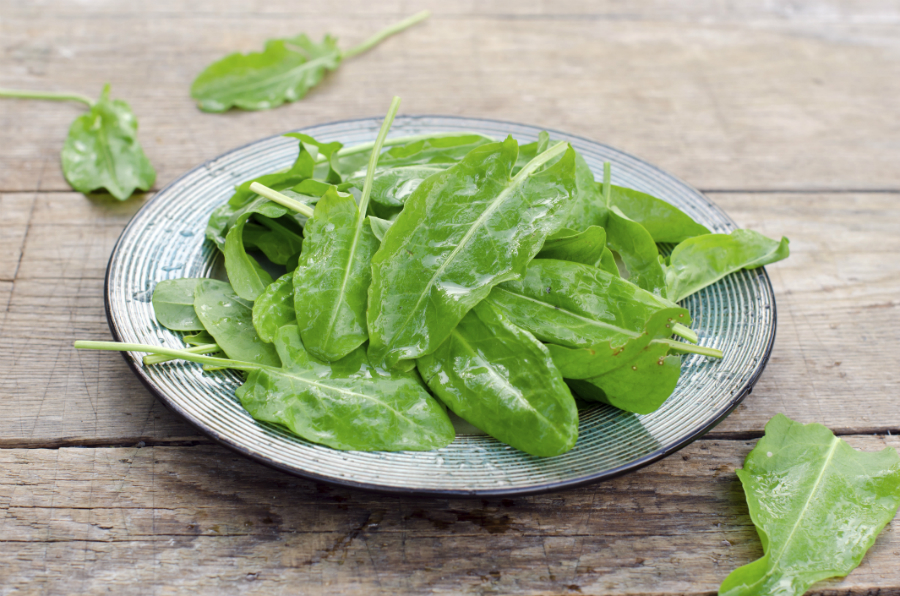 Alles over zuring: de nieuwe vergeten groente - Culy