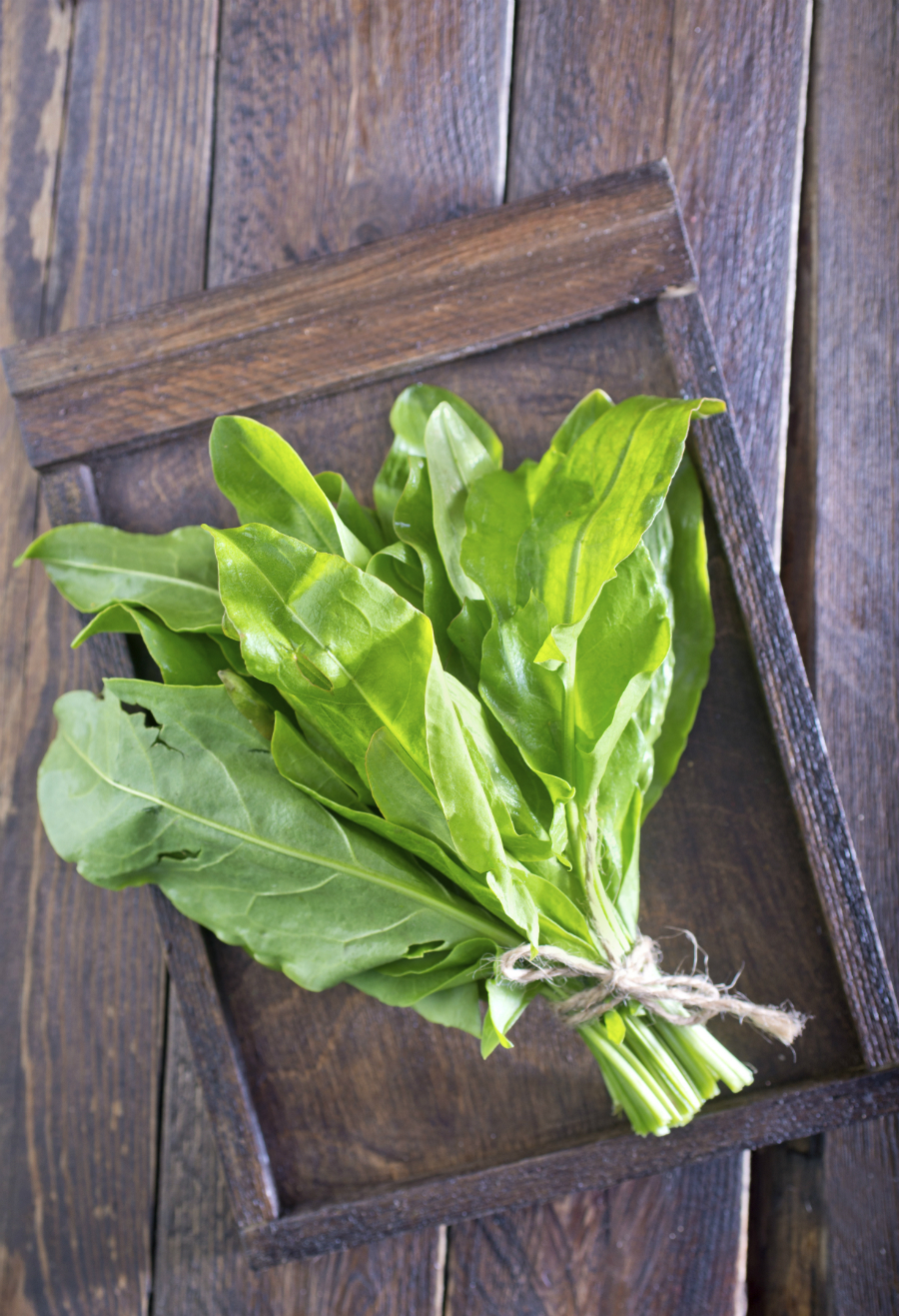 Alles over zuring: de nieuwe vergeten groente - Culy