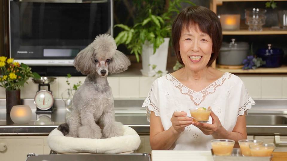Cooking with Dog: een YouTube-kanaal met een hond (!) als presentator ...