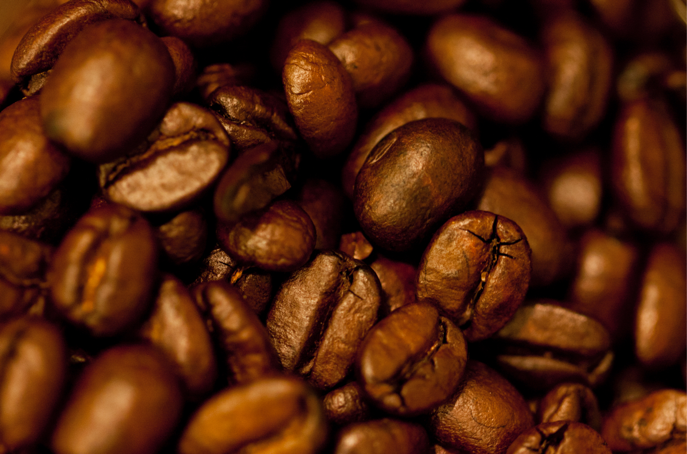 Kom jij naar de Culy x Nespresso koffie masterclass in Utrecht? - Culy