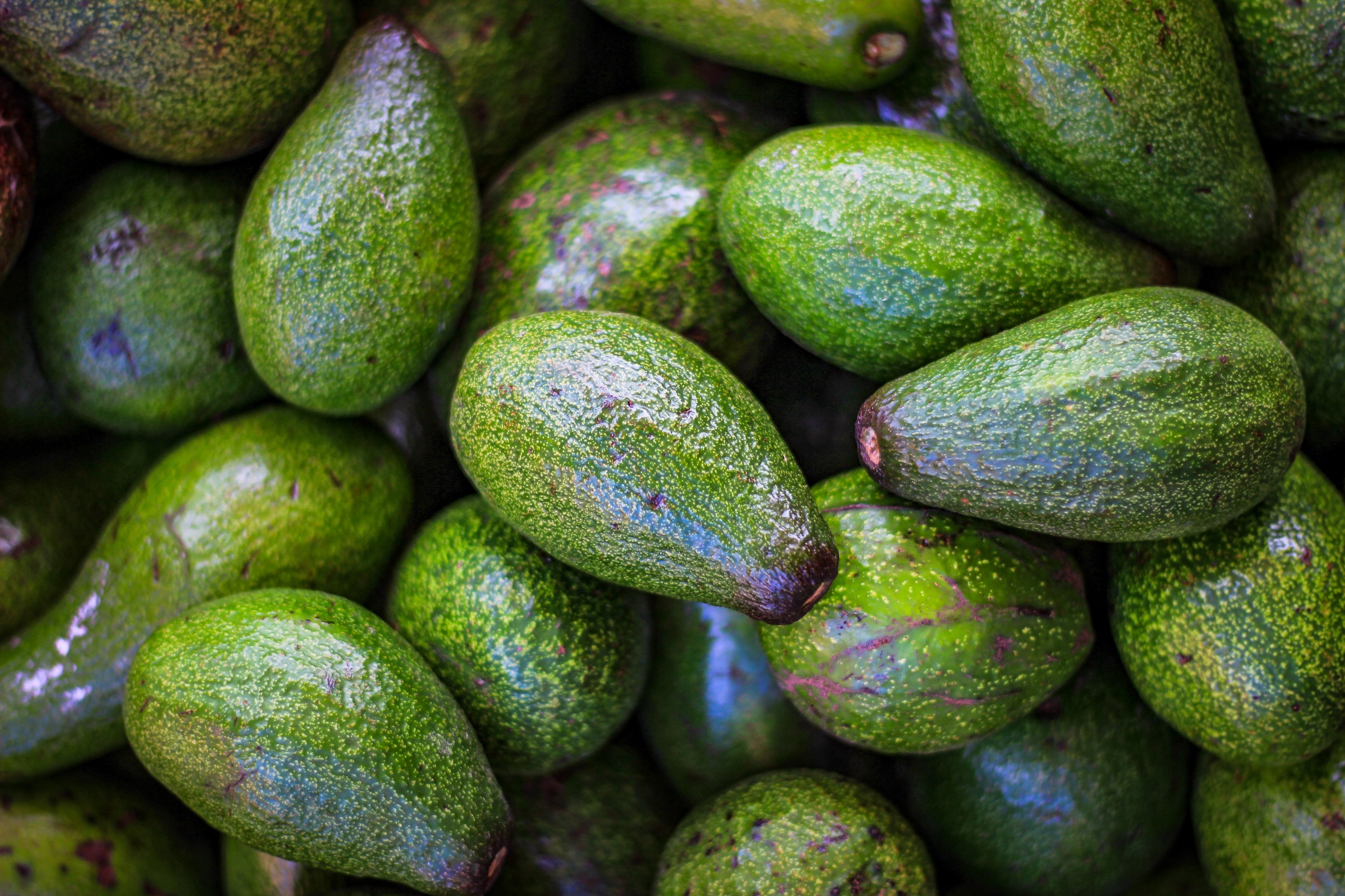Waarom Mexicanen whisky gebruiken om avocado’s sneller te laten rijpen ...