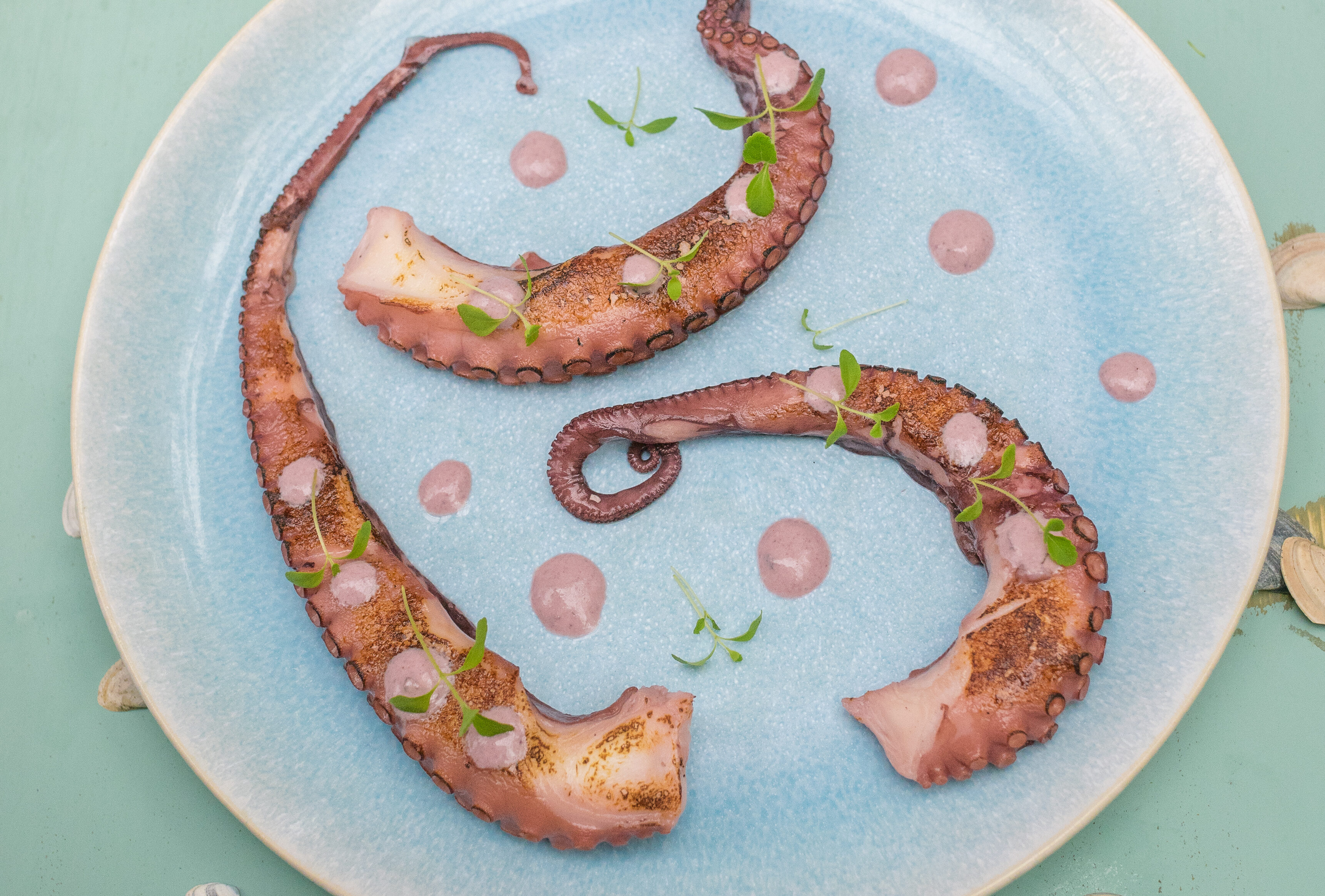 Alles over pulpo al olivo: Peruaanse octopus boordevol umami - Culy.nl