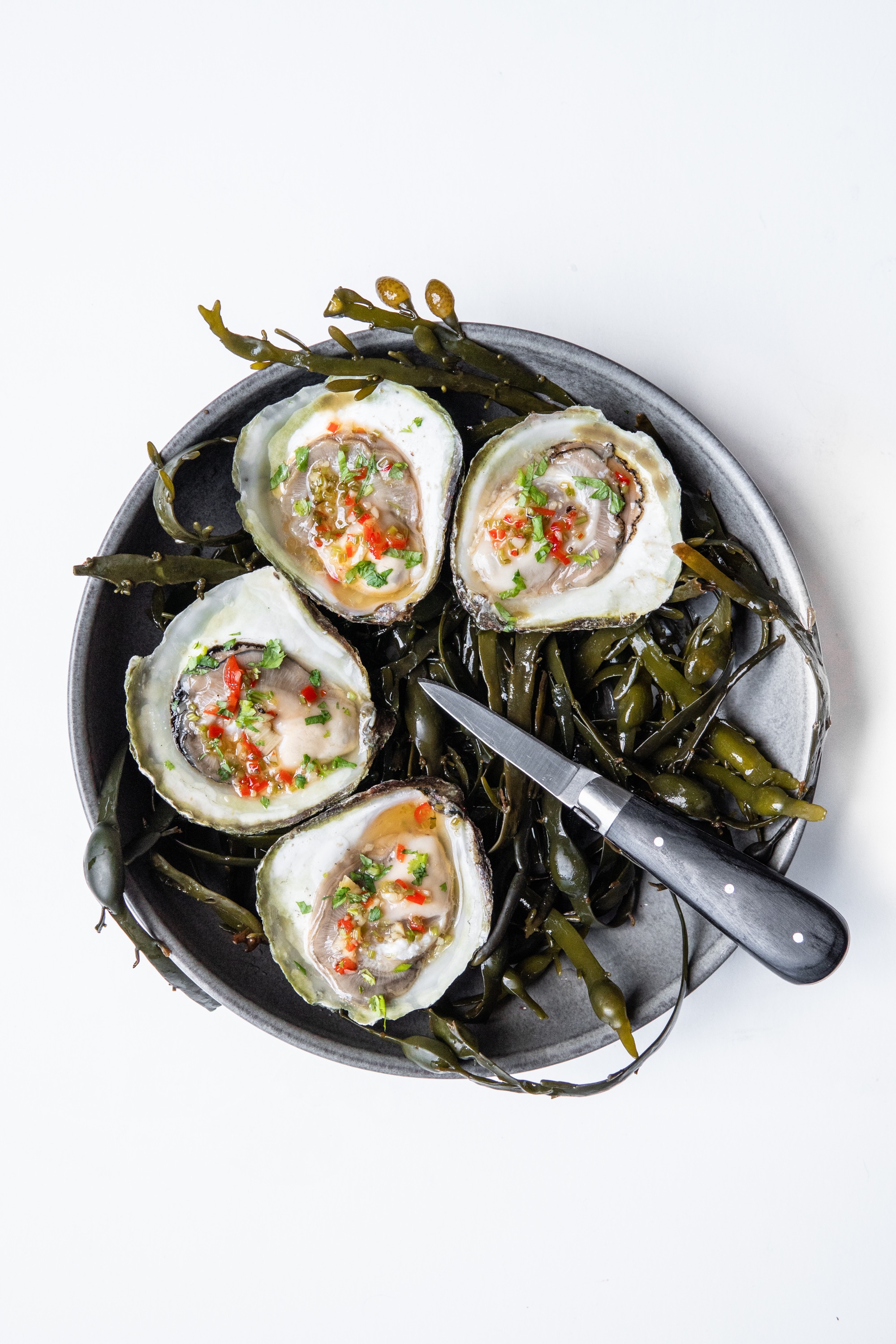 Oesters bewaren, openen en serveren: dit is wat je moet weten