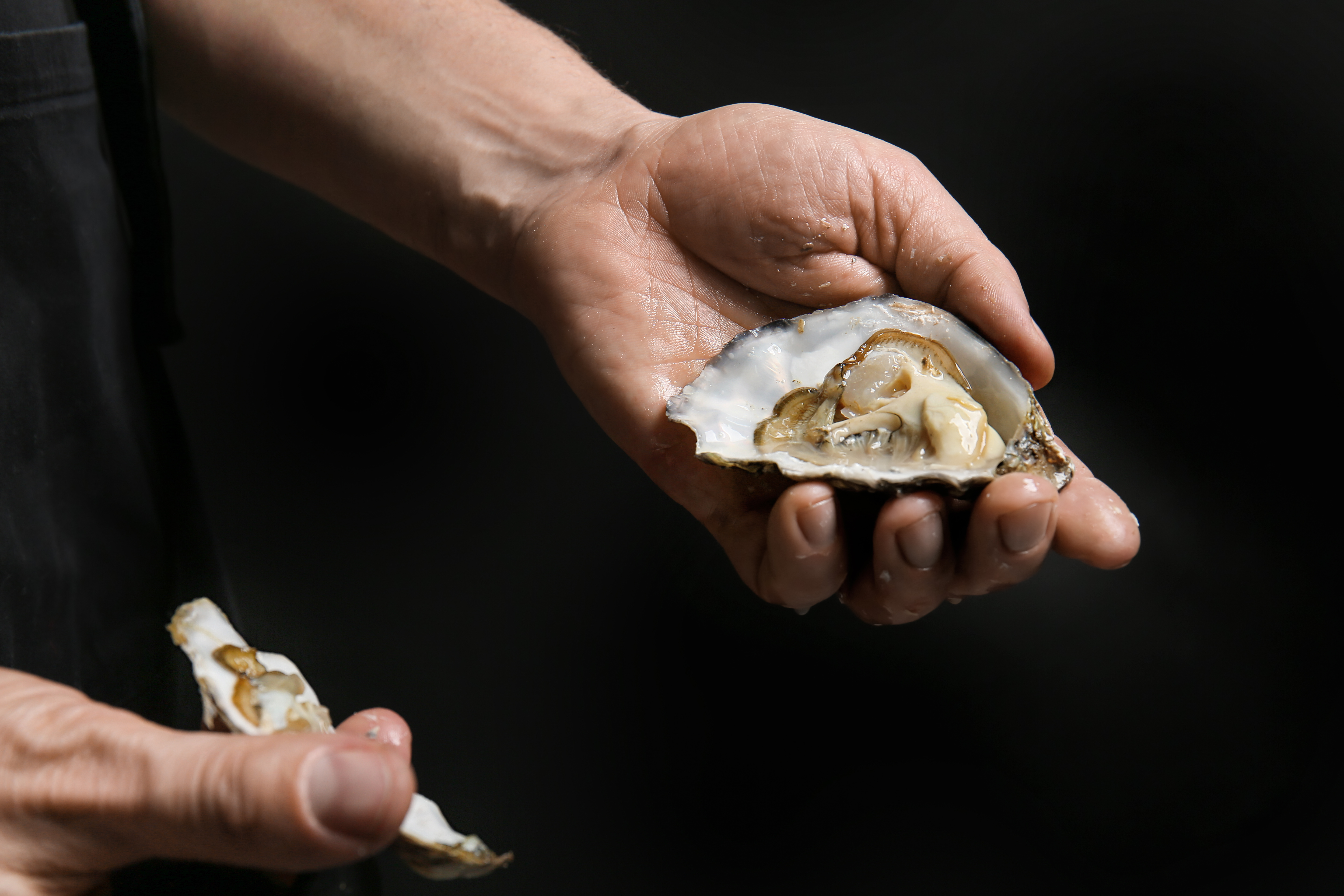 Oesters bewaren, openen en serveren: dit is wat je moet weten