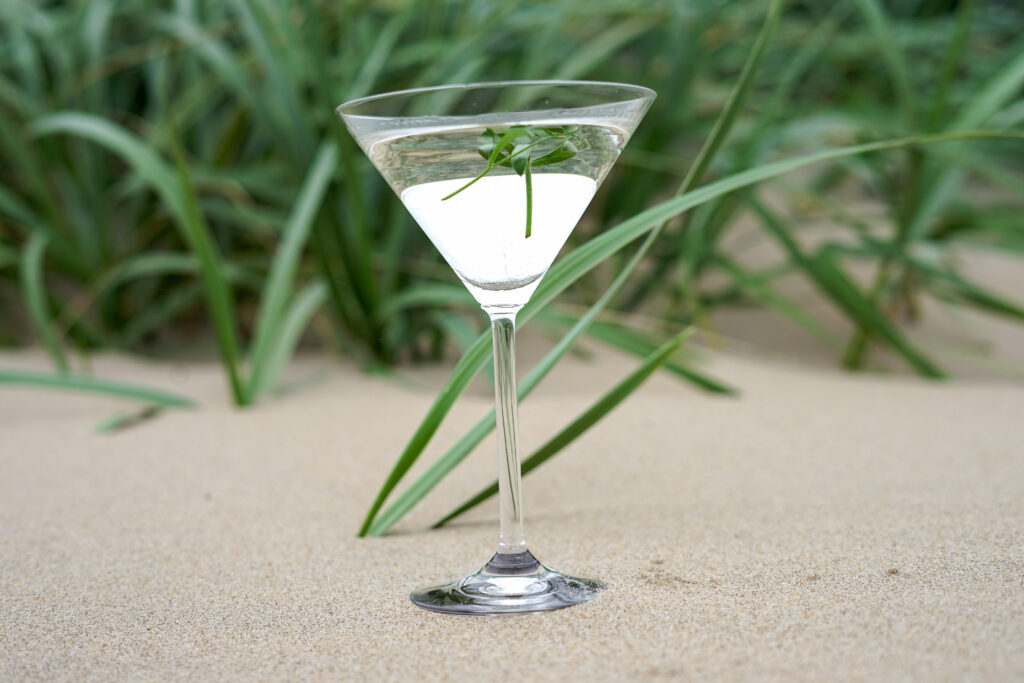 Martini met gin en zeekraal (een Maritime Martini!)