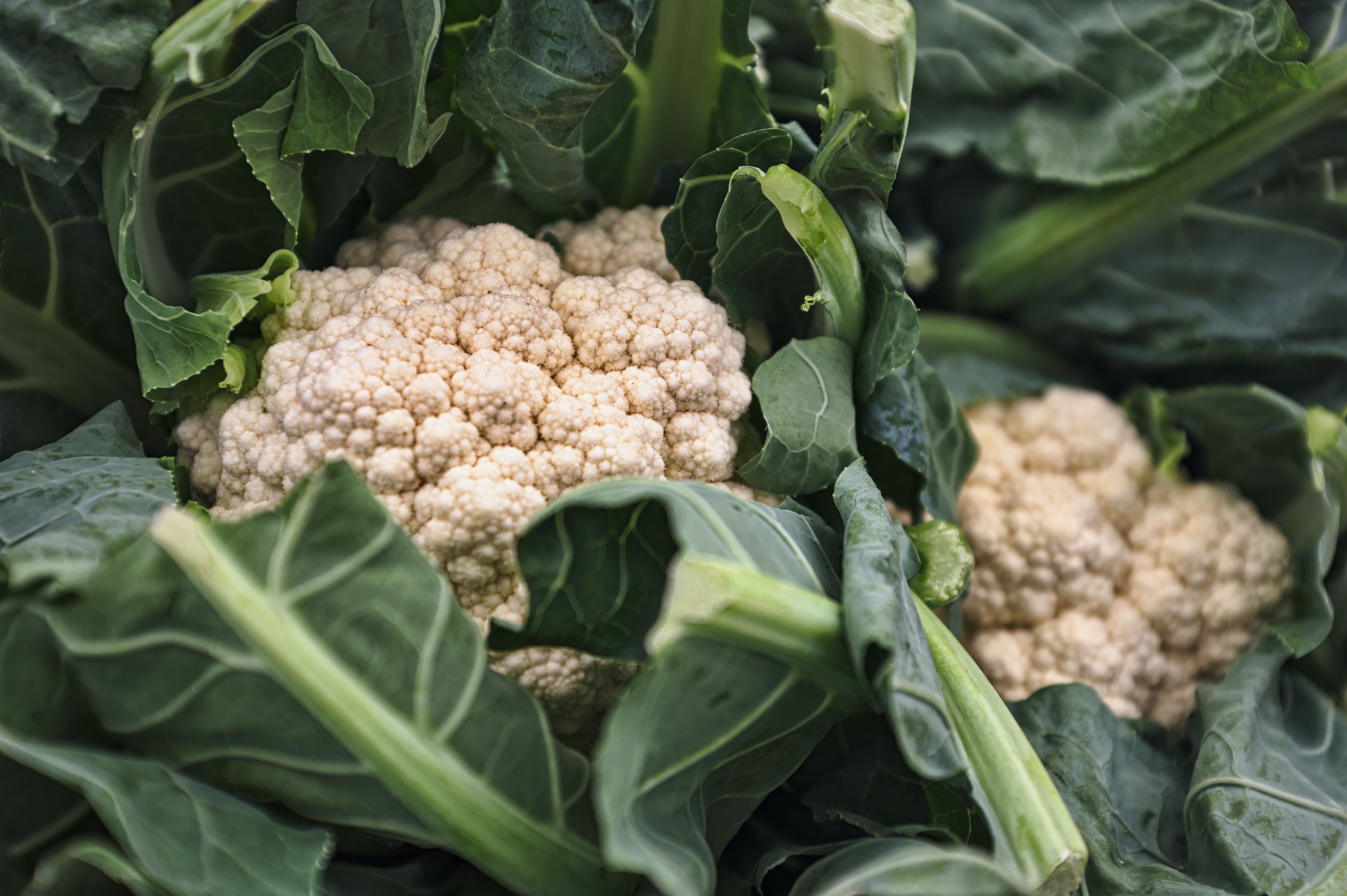 Zo snijd je een bloemkool (of broccoli) zonder troep - Culy