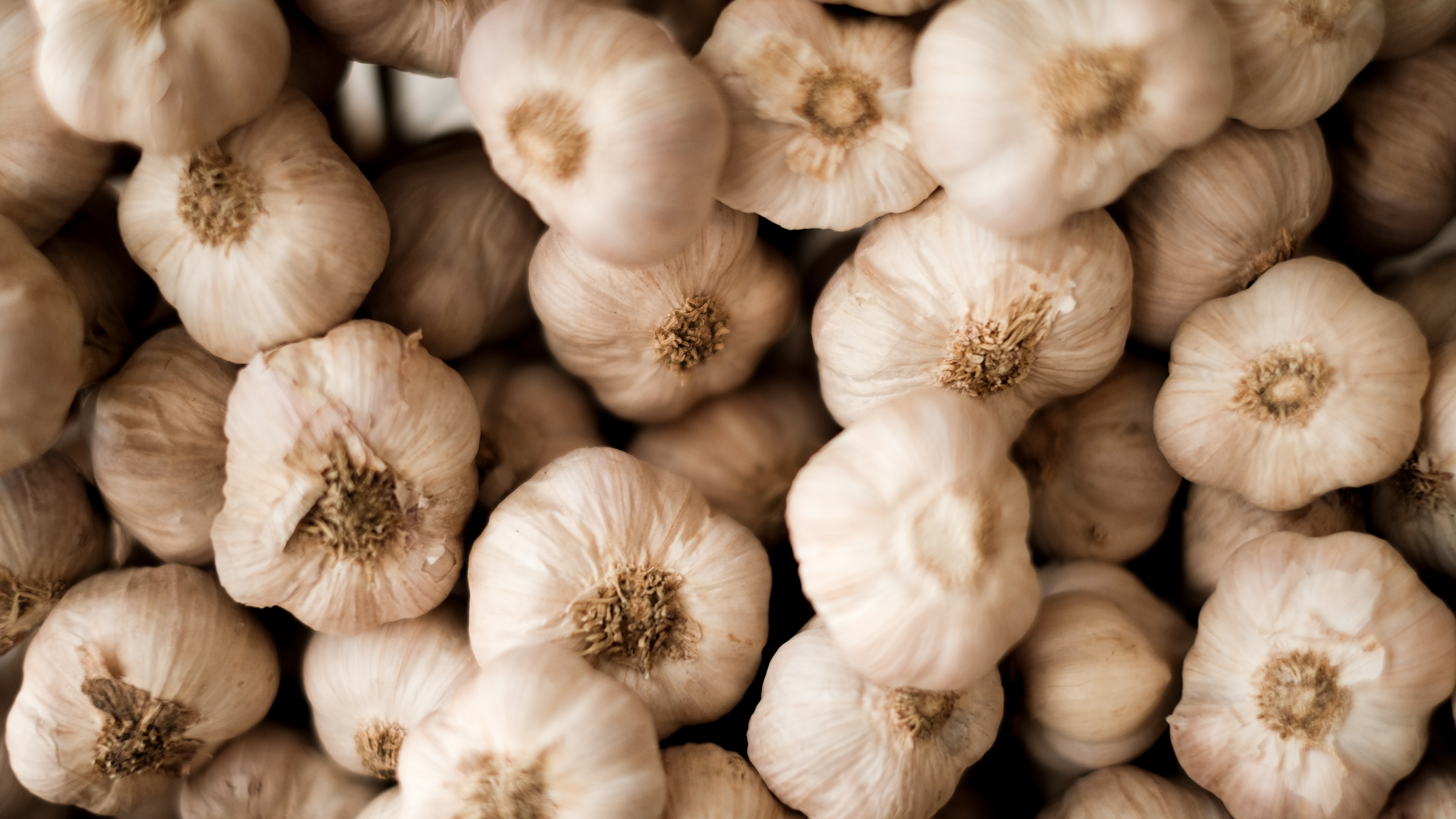 Knoflooksaus maken: waarom dat lekkerder is dan uit de winkel - Culy